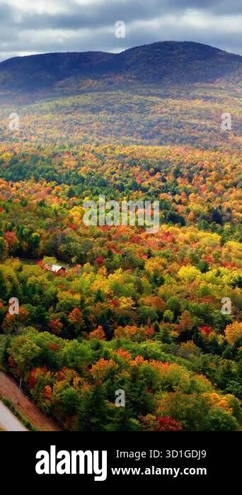 Colorful forested landscape with a small cabin and road at the base ...