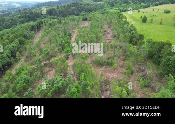 Aerial view deforestation process showing Stock Videos & Footage - HD ...