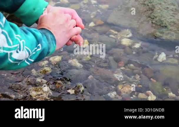 Slow Motion Hand Gently Dipping into Clear Shallow Stream Water ...