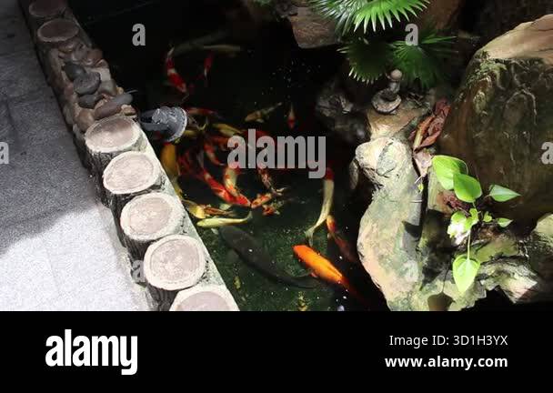 Ho Chi Minh City, Viet Nam - September 5th 2025 - Photo of Phap Hoa ...