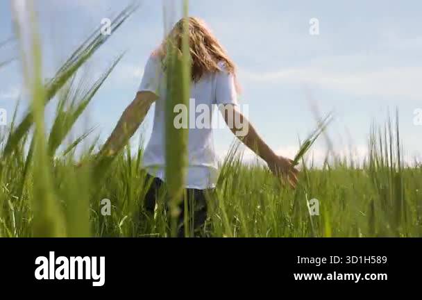 Walking through a vibrant meadow filled with tall grass on a sunny day ...