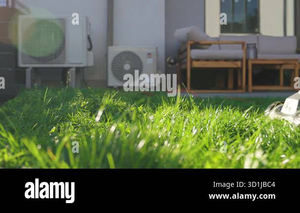 Person using electric lawn mower to cut grass in backyard. Man cutting ...