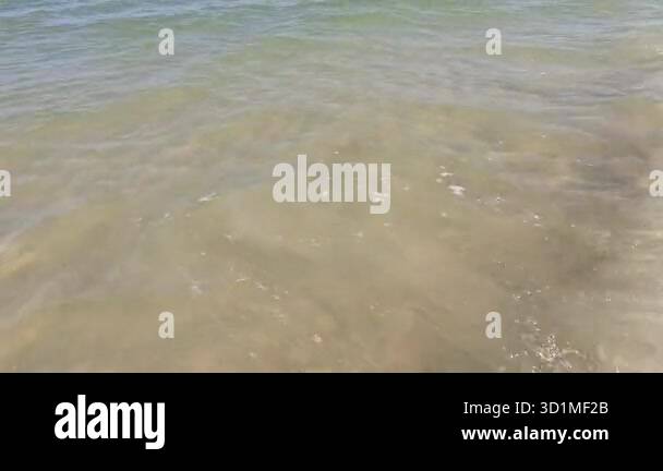 Wash with sand Stock Videos & Footage - HD and 4K Video Clips - Alamy