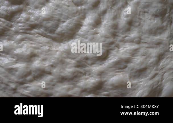 Raw Focaccia Dough Texture with Fermentation Air Bubbles Stock Video ...