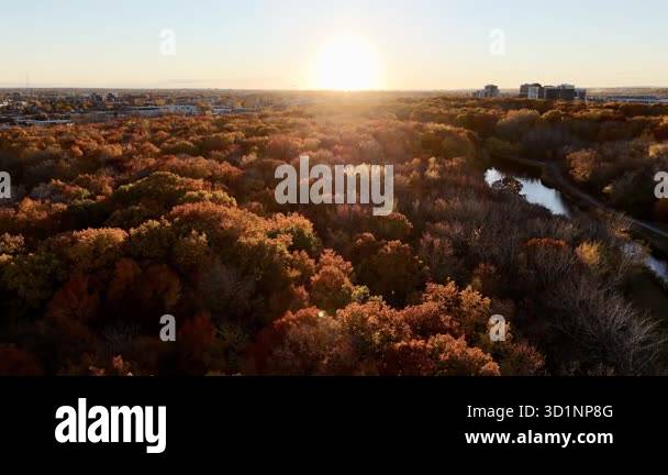 Aerial view of Montreals Angrignon park and urban forest at sunset near ...
