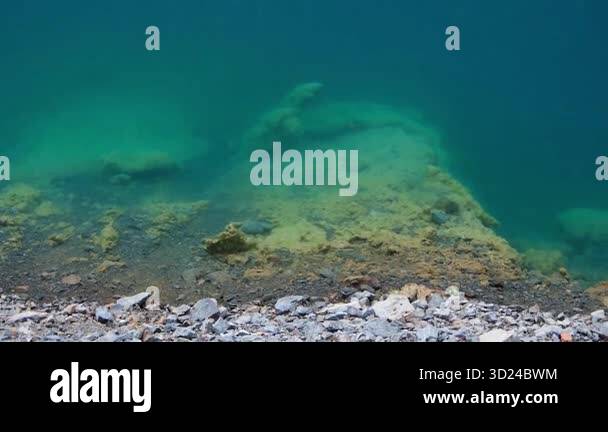Fish mine Stock Videos & Footage - HD and 4K Video Clips - Alamy