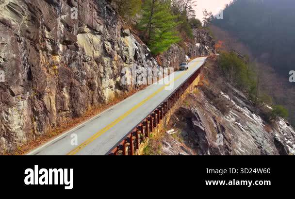 Scenic canopy drive in Stock Videos & Footage - HD and 4K Video Clips ...