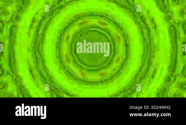 This stunning tunnel visual loop features vibrant green patterns that ...