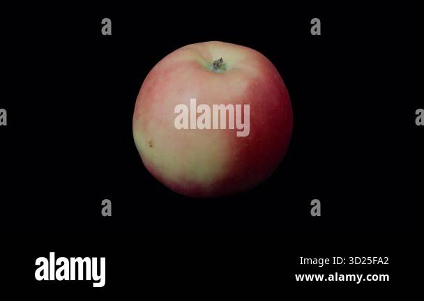 3D animation of a red apple rotating on alpha channel background ...