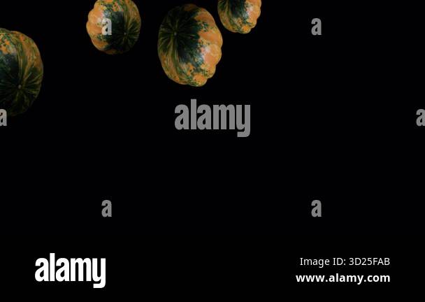 3D looped animation of pumpkins falling and spinning on an alpha ...