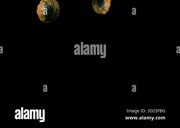 3D looped animation of pumpkins falling and spinning on an alpha ...