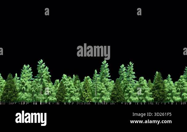 3D Animation of a lush green pine forest moving gently in the wind ...