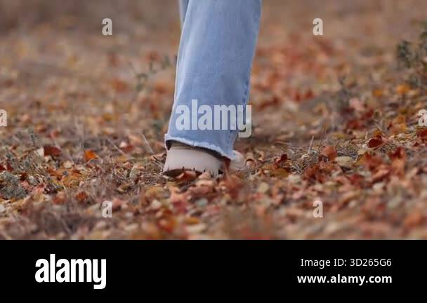 Autumn forest nature in park. Woman girl travels. Active trekking ...