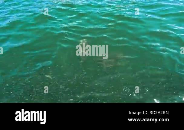 View across Argostoli harbour, De Bosset bridge and blue waters ...