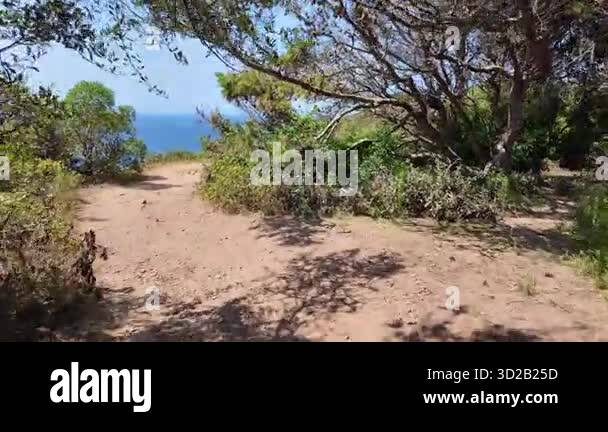 Hiking trail ocean view Stock Videos & Footage - HD and 4K Video Clips ...