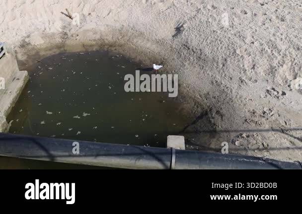 Stormwater polluted Stock Videos & Footage - HD and 4K Video Clips - Alamy