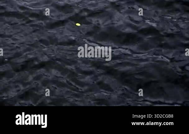 Floating solitude: yellow fall leaf drifting on deep blue river surface ...