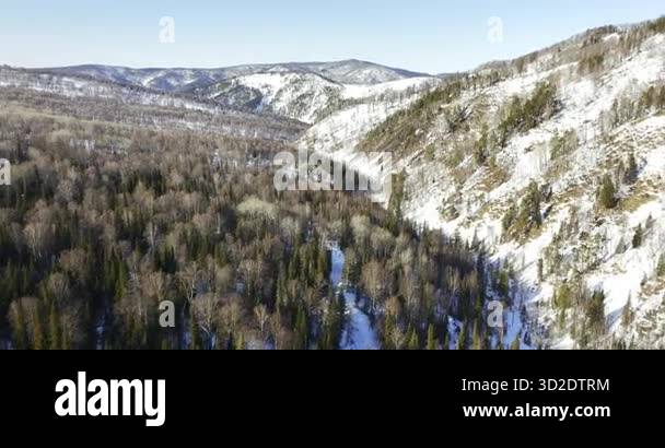Winter treescape Stock Videos & Footage - HD and 4K Video Clips - Alamy