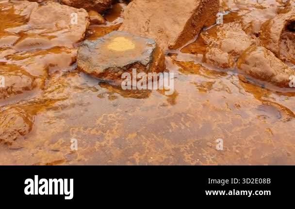 a closeup of a rock surface with a lot of yellow colors on a blurry ...