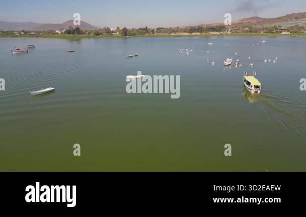 Aerial pan across the surface of Cajititlan lagoon showing boats, green ...