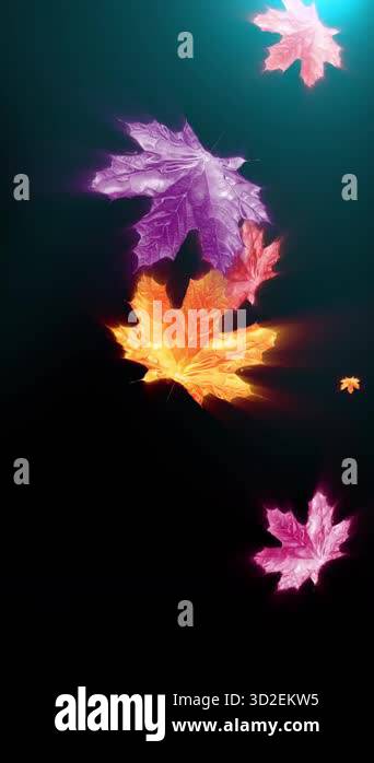 Autumn animation of falling maple leaves. Conveys the atmosphere of ...
