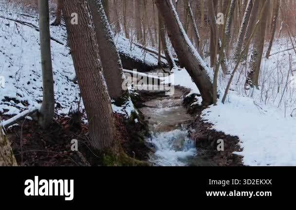 winter forest stream, serene winter landscape featuring snowcovered ...