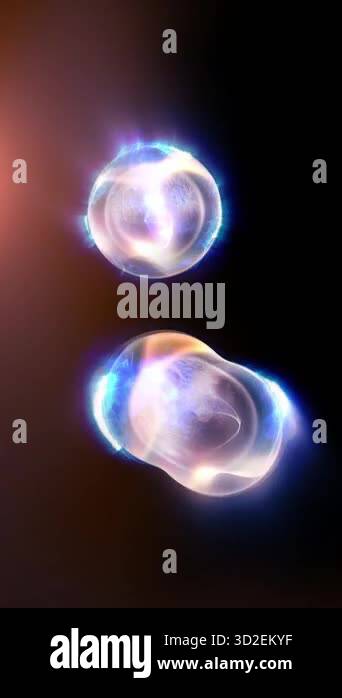 Cells of a living organism divide, clearly demonstrating the process of ...