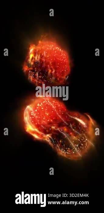 Cells of a living organism divide, clearly demonstrating the process of ...