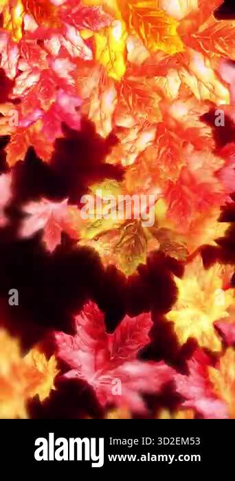 Autumn animation of falling maple leaves. Conveys the atmosphere of ...