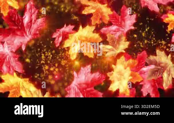 Autumn animation of falling maple leaves. Conveys the atmosphere of ...