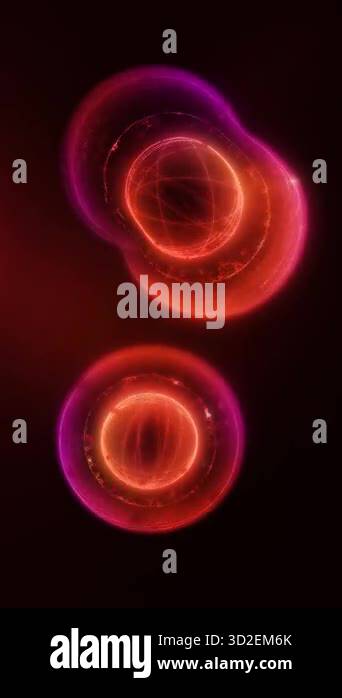 Cells of a living organism divide, clearly demonstrating the process of ...