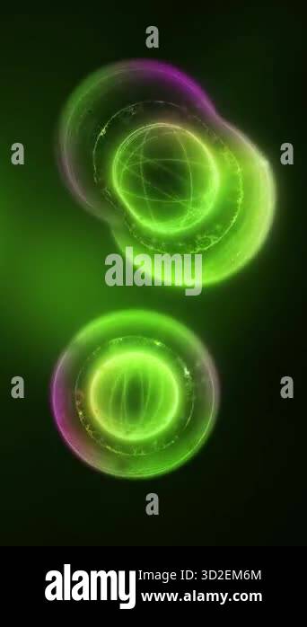 Cells of a living organism divide, clearly demonstrating the process of ...