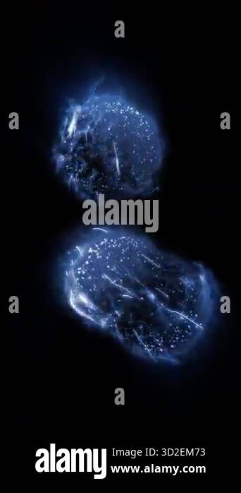 Cells of a living organism divide, clearly demonstrating the process of ...
