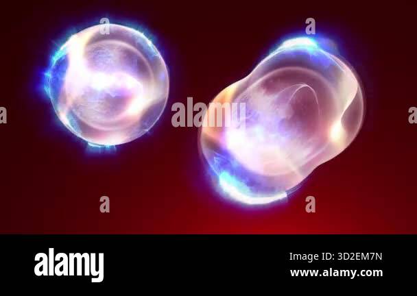 Cells of a living organism divide, clearly demonstrating the process of ...