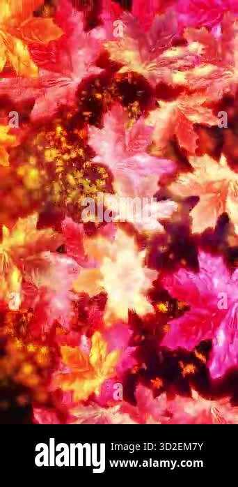 Autumn animation of falling maple leaves. Conveys the atmosphere of ...