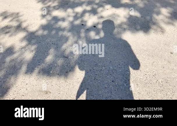Shadow man tree falling together Stock Videos & Footage - HD and 4K ...
