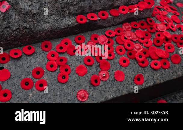 Honoring Soldiers with Red Poppies on Remembrance Day in Ottawa, Canada ...