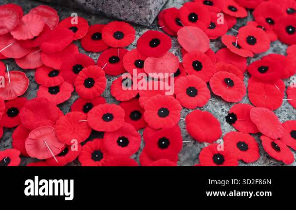 Remembrance Day, red poppy flowers on the Tomb of the Unknown Soldier ...