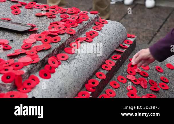People placing red poppy flowers on the Tomb of the Unknown Soldier in ...