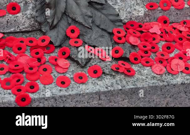 Remembrance Day with poppy flowers on the Tomb of the Unknown Soldier ...