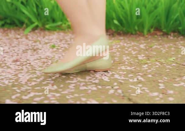 close up female legs in silver ballet shoes walking on path covered ...