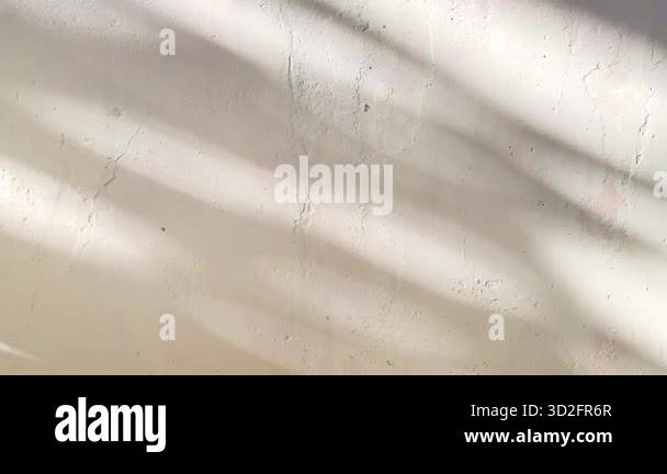 Realistic transparent shadows tropical Stock Videos & Footage - HD and ...