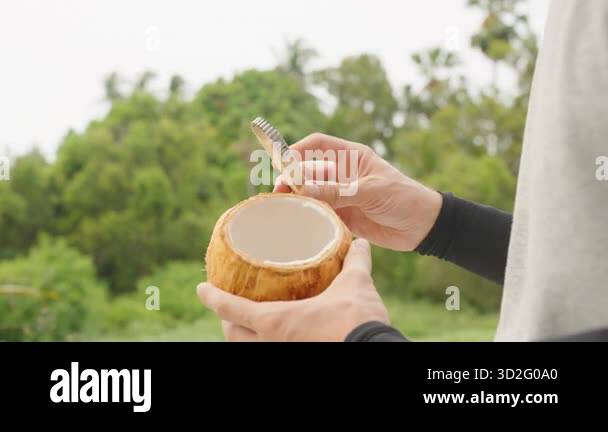 Freshly Opened Coconut Being Scraped for White Flesh Using a Wooden ...