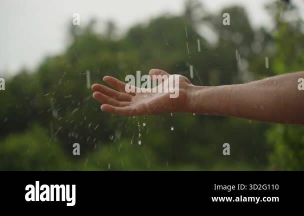 Hand Catching Tropical Rain Drops with Forest Background, slow motion ...