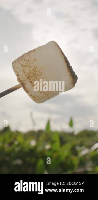 Vertical video. Toasted Marshmallow on Stick Rotating in Slow Motion ...