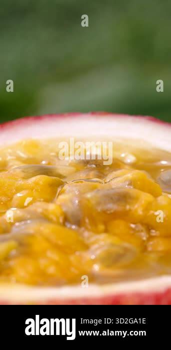 Vertical video. Close Macro View of Fresh Passion Fruit Half with Juicy ...