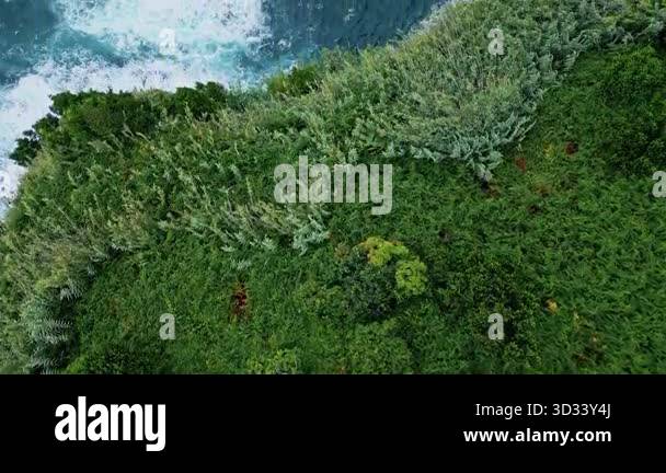 Dense forest top view. Foaming turquoise sea splashing at stoned cliffs ...