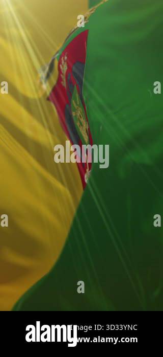 Flag of Vienna state, Austria, Loop. 4K Vertical Stock Video Footage ...