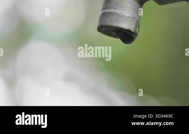 water drop in the forest, nature background Stock Video Footage - Alamy