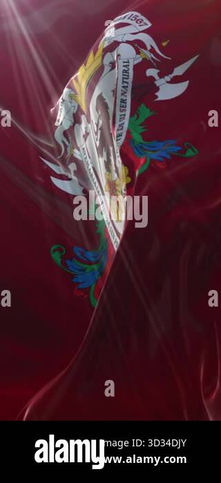 Flag of Caracas, Venezuela. 4K Vertical. Loop Stock Video Footage - Alamy